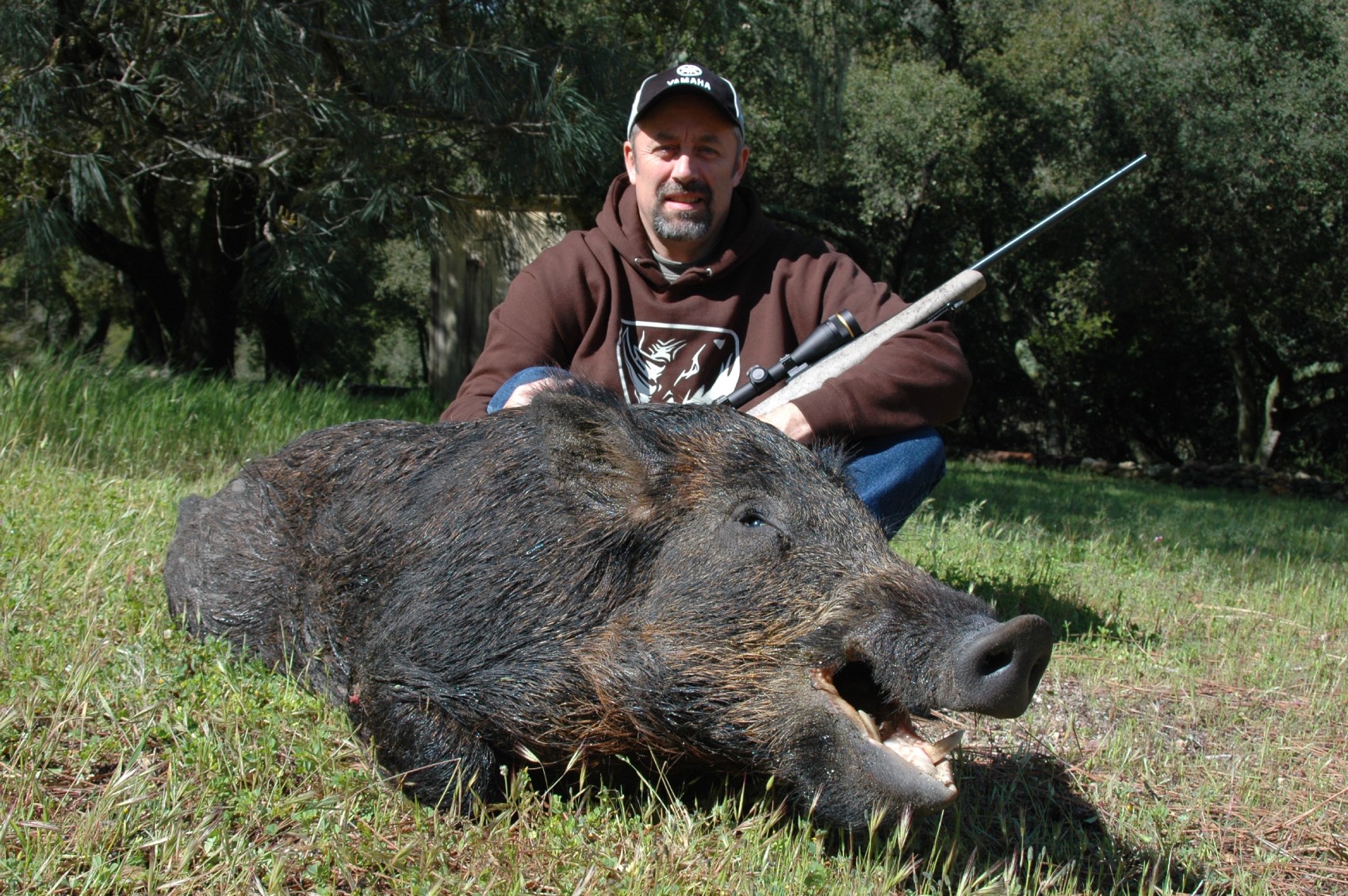 Species Profile: Wild Hog | Mossy Oak